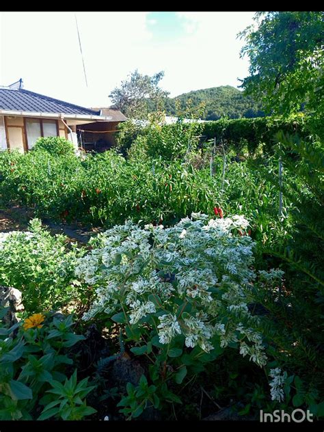 긍정적으로 생각하라긍정의힘책중에서 Youtube