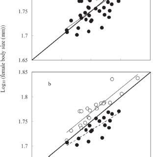 Relationships Between Male Size And Tail Length And Between Female Size Download Scientific
