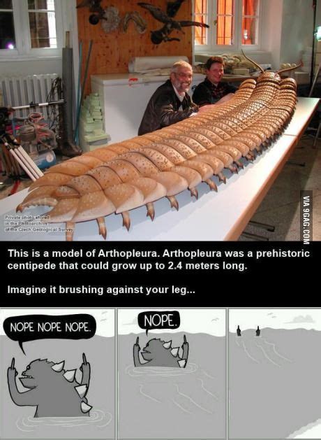 Nope Meme Godzilla