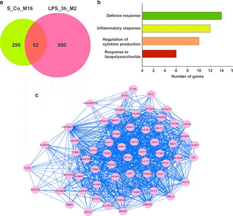 Comparative Network Analysis Of The Immuneinflammation Related Module Download Scientific