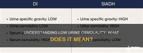 Understanding Low Urine Osmolality What Does It Mean Medshun