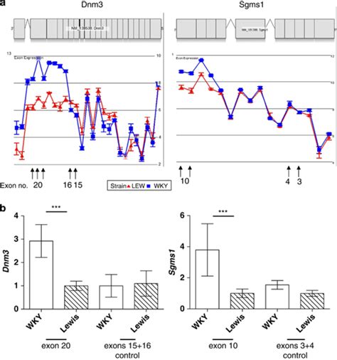 Comparison Of Alternative Splicing Microarray Data Predictions With Download Scientific Diagram