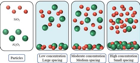 Schematic Diagram Of Particle Flocculation And Sedimentation Process Of