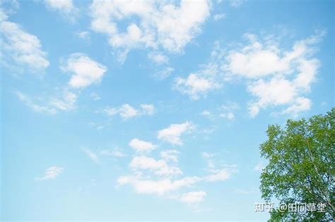 《阿纳丝塔夏》鸣响的雪松 知乎