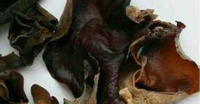 Cara Mengolah Jamur Kuping Kering Homecare24