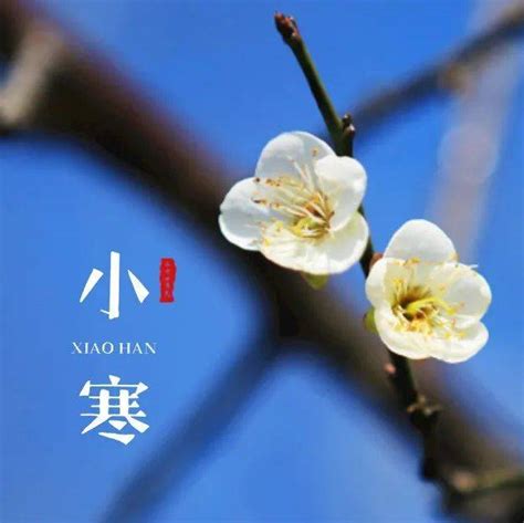 日签 忽吹微雨过，便觉小寒生。剑南陆游老学