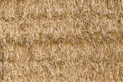 Reeds Texture Straw Surface Thatch Pack Canvas Straw Pack Texture