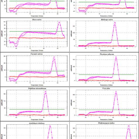 Workflow For A Rt Qpcr And Gdna Contamination Assay Please Click Here Download Scientific
