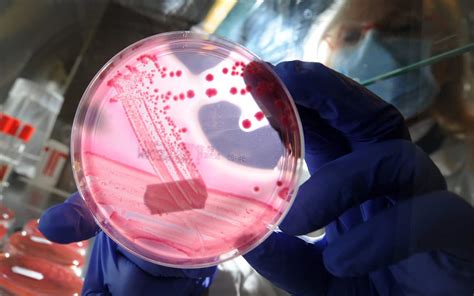 Moderna Entro Il 2030 I Primi Vaccini Contro I Tumori Cosa Sappiamo