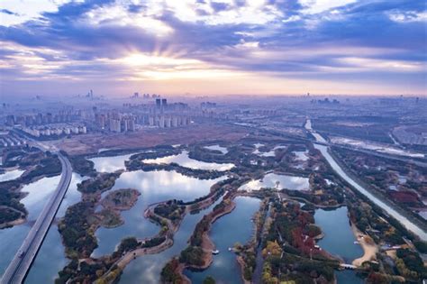 湿地公园图片素材 湿地公园设计素材 湿地公园摄影作品 湿地公园源文件下载 湿地公园图片素材下载 湿地公园背景素材 湿地公园模板下载 搜索中心