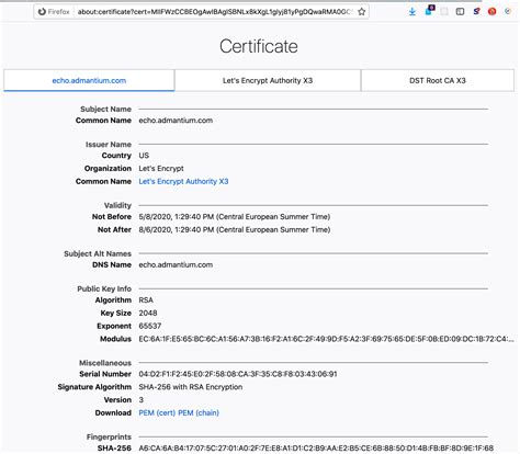 kubernetes automatic let s encrypt certificates for services admantium