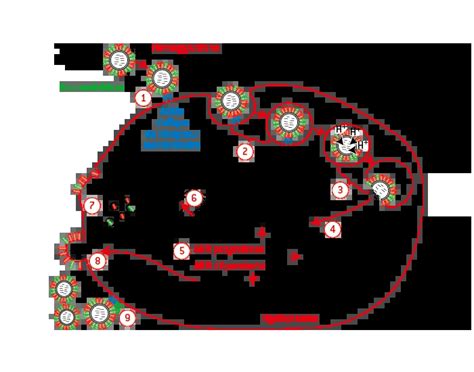 Cycle De Réplication Du Virus — Printable Worksheet