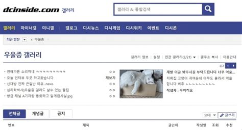 ‘우울증갤러리 폐쇄 요청 거부한 디시 “성인인증 검토”