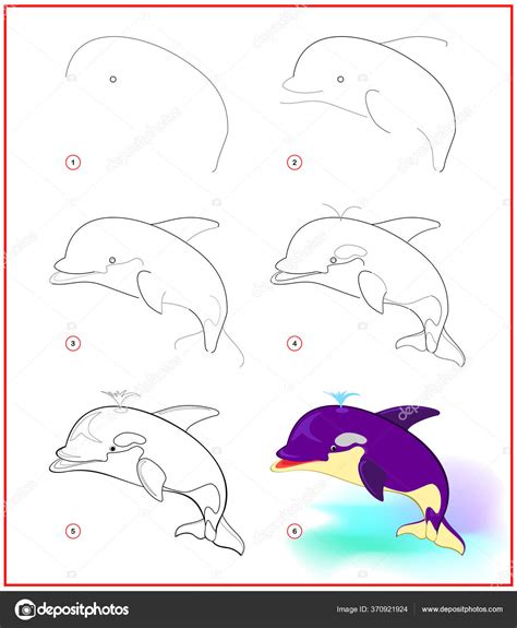 how to draw orca step by step