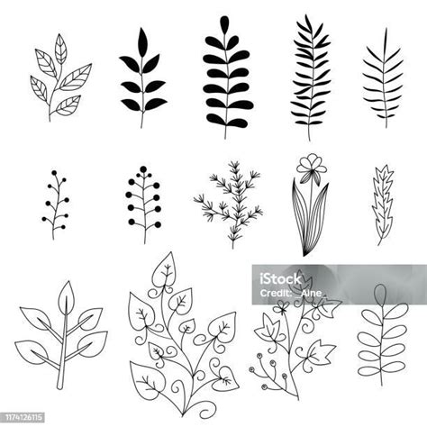 꽃 요소 세트 나뭇가지 손으로 그린 낙서 꽃세트입니다 벡터 그림입니다 가을에 대한 스톡 벡터 아트 및 기타 이미지 가을 개체 그룹 곡선 Istock