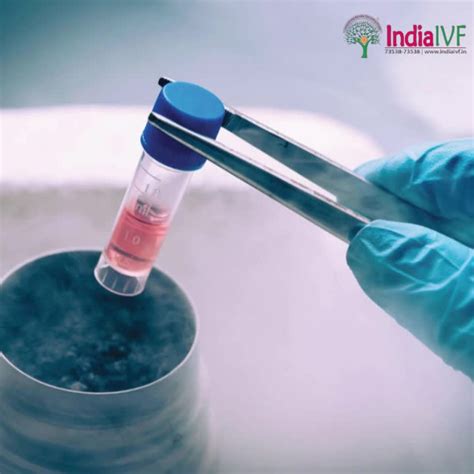 Video Medical Treatment India On Linkedin 15 Semen Cryopreservation
