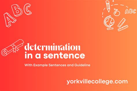 How To Use Determination In A Sentence Easy Examples