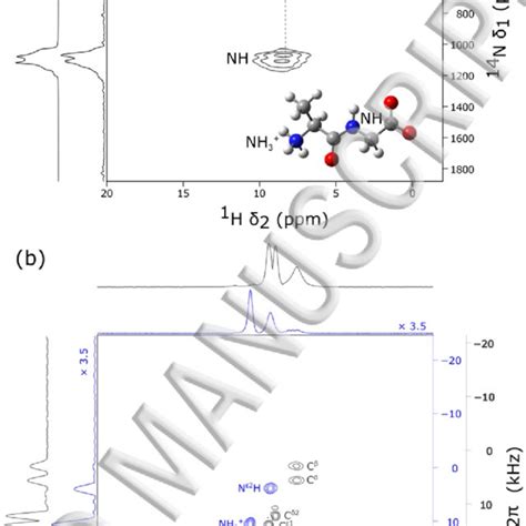 A Experimental 1 H 14 N Single Quantum Correlation Spectrum Of The