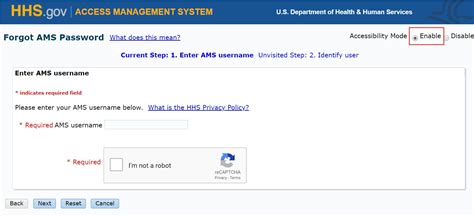 HHS AMS How To Enable Or Disable Accessibility Mode In AMS