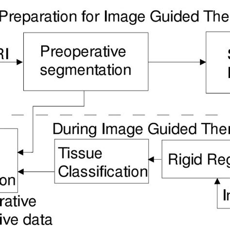 Schema For Intraoperative Segmentation And Registration Download Scientific Diagram