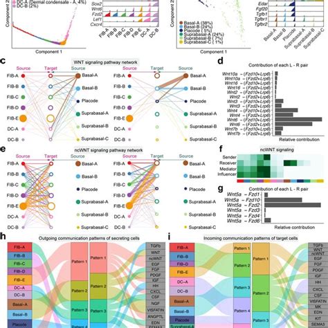 Pdf Inference And Analysis Of Cell Cell Communication Using Cellchat