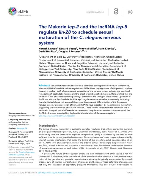 Pdf The Makorin Lep 2 And The Lncrna Lep 5 Regulate Lin 28 To