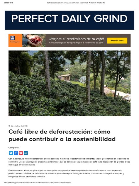 Café Libre De Deforestación Cómo Puede Contribuir A La Sostenibilidad