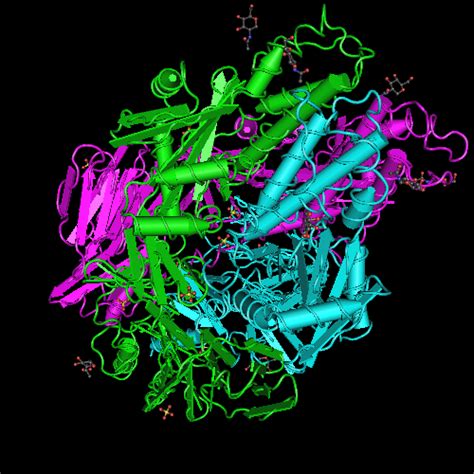 Human Metapneumovirus Montebrittney
