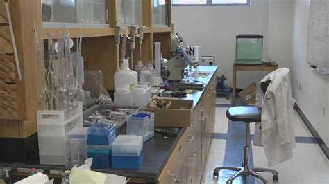 Pfas Prediction Model Being Developed By Umaine Researchers