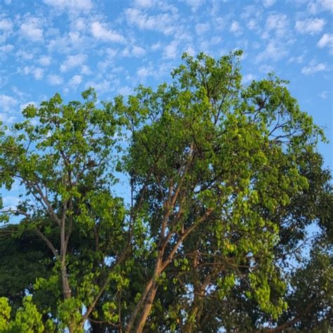 Sanjit Kumar Youtube