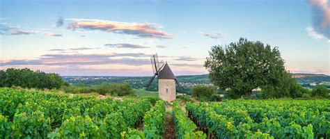 Recommended French Wineries For Wine Enthusiasts Cellar Tours™