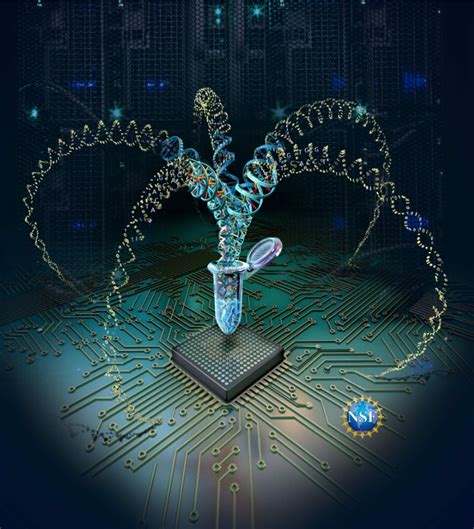 DNA For Digital Data Storage ByCatarina