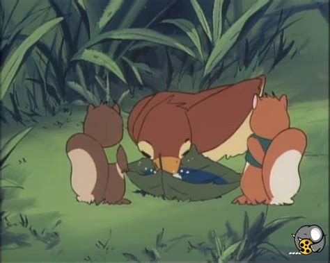 انیمیشن بنر سنجاب کوچولو قسمت ۱۲ فیلو