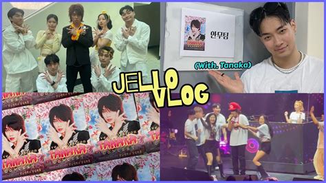 다나카 내한 콘서트 Feat 전국투어 댄서 Vlog Youtube