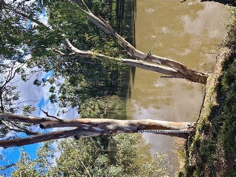 The 5 Best Things To Do In Balranald 2024 Must See Attractions