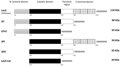 Microorganisms Special Issue Functional Microbial Diversity For