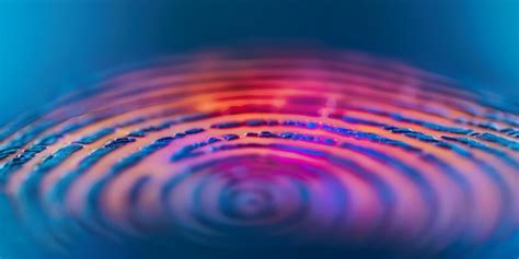 Enhancing Security And Privacy With A Biometric Fingerprint Scanner For