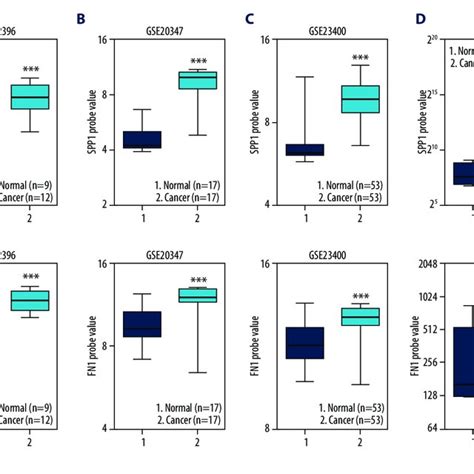 Differential Expression Of Spp1 And Fn1 In The Discovery Datasets A