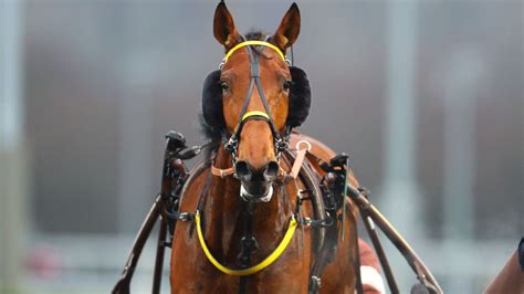 Ino Du Lupin En Hommage à Michel Marcel Gougeon Letrot