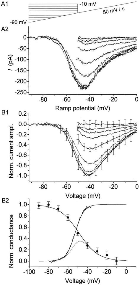 Voltage Dependence Of Inactivation Of Inap A Voltage Protocol Used