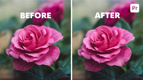 Quickly Fix Grainy Video Footage In Adobe Premiere Pro Aquastar Creative