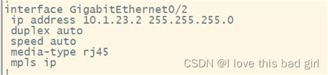 Cisco Mpls Vpn Option C1cisco Mpls C1 Csdn博客