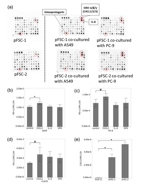 Cytokine Antibody Array Image And Effect Of Cytokines On PD L1