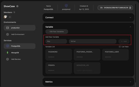 Setting Environment Variables Zeabur