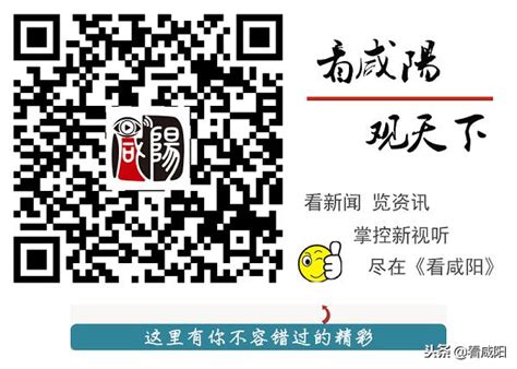 首屆中國鄉村振興論壇袁家村峰會舉行 每日頭條