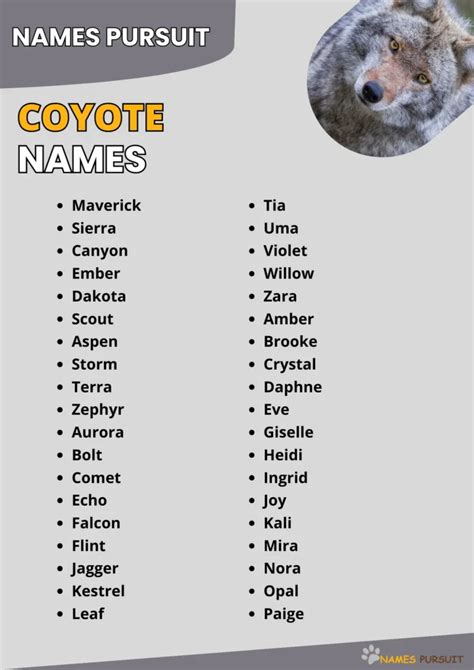 460 Coyote Names Cool Unique And Funny Ideas