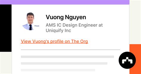 Vuong Nguyen Ams Ic Design Engineer At Uniquify Inc The Org