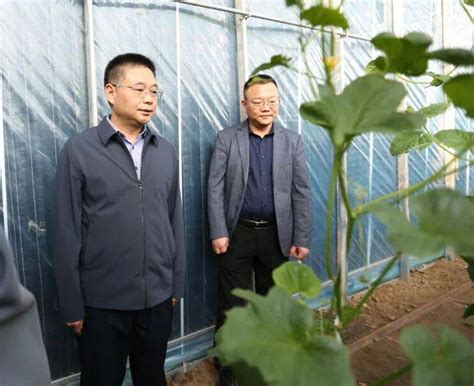 立足“三农”谋发展 解放思想再启航——黄韡在铁佛镇调研农业农村工作乡村治理