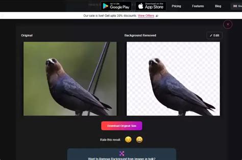 Erase Bg Vs Remove Bg Find Out Which One Suits You Best