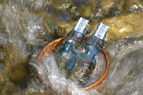 川で冷やされた瓶ラムネ 192542190 の写真素材 アフロ